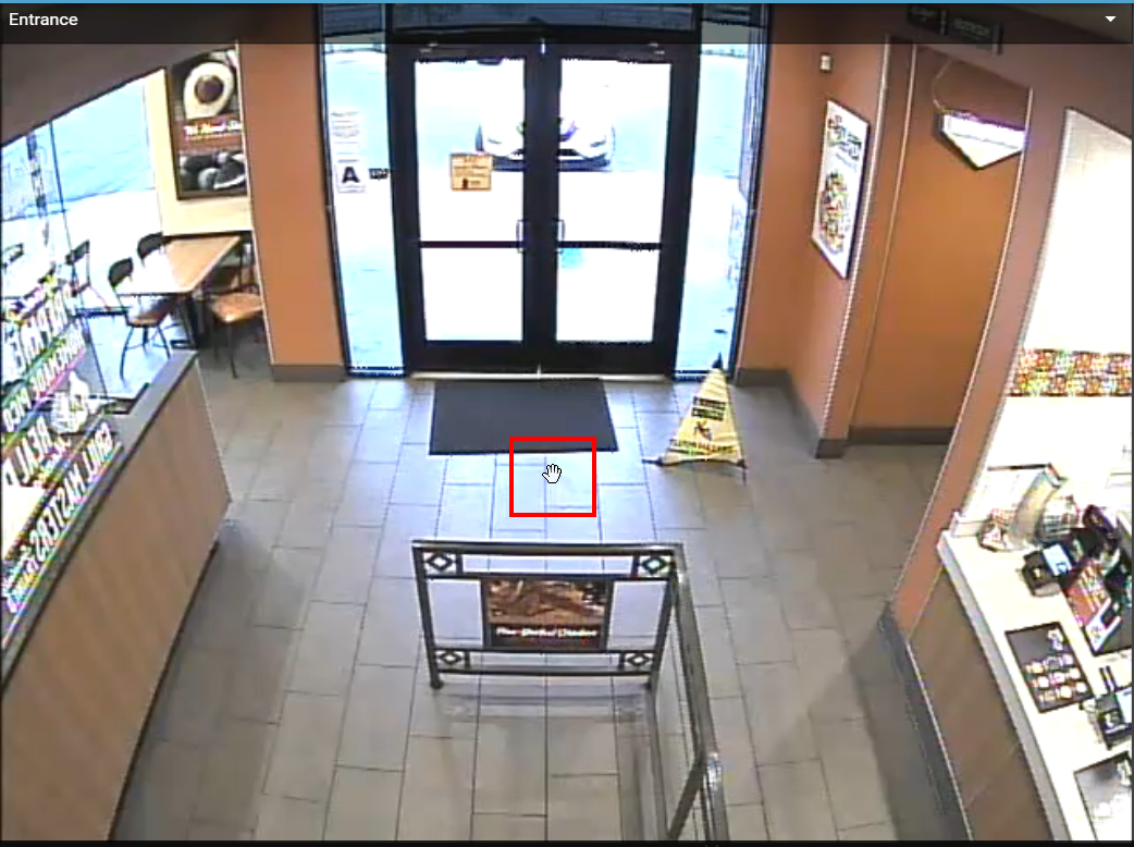 Zoom - Envysion Learning