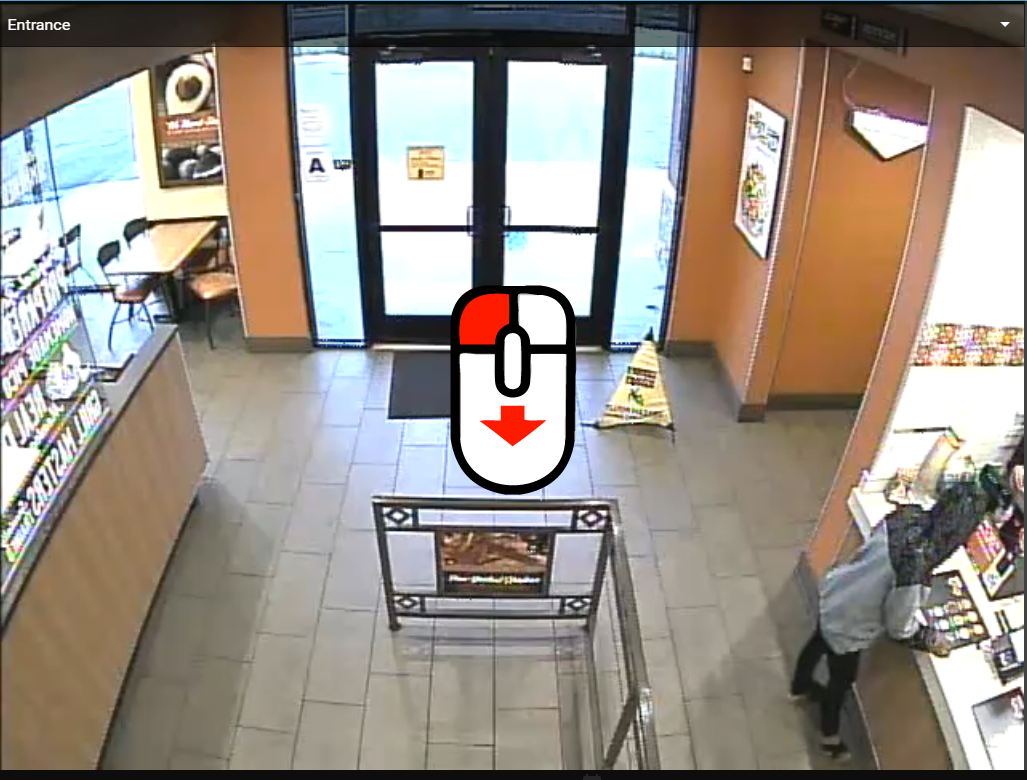 Zoom - Envysion Learning